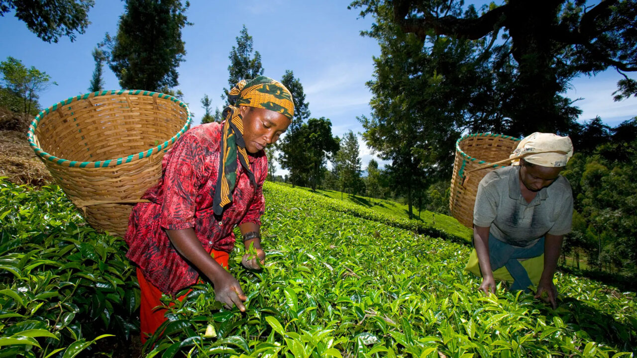 Solutions - Tetra Tech International Development